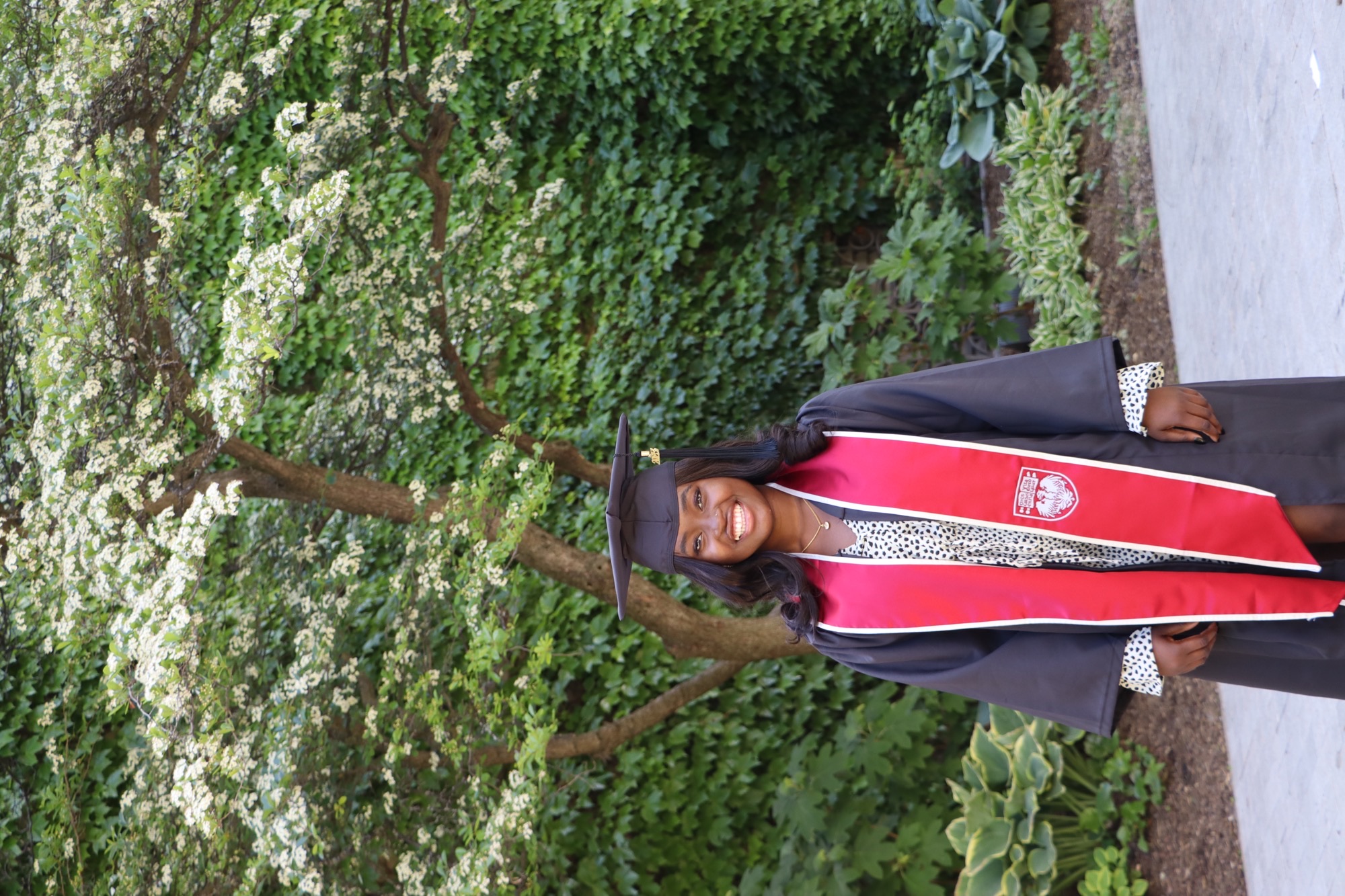 Announcing the 2023 Richard P. Taub Thesis Prize Winners | The ...